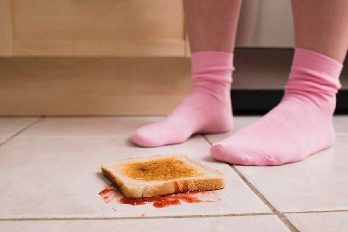 Cibo caduto a terra: la regola dei 5 secondi vale davvero o è solo un ...